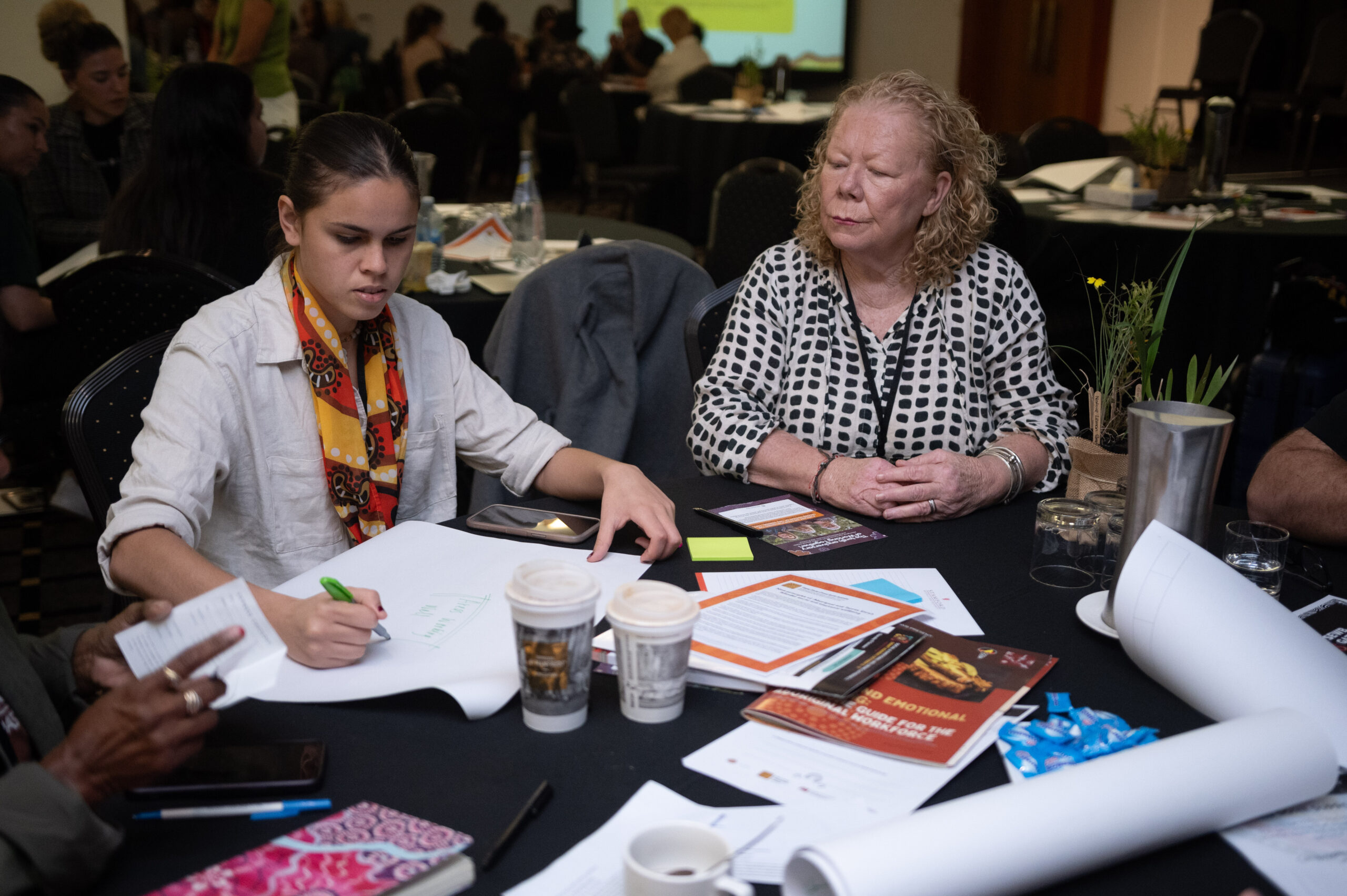 SEWB Gatherings - Transforming Indigenous Mental Health and Wellbeing